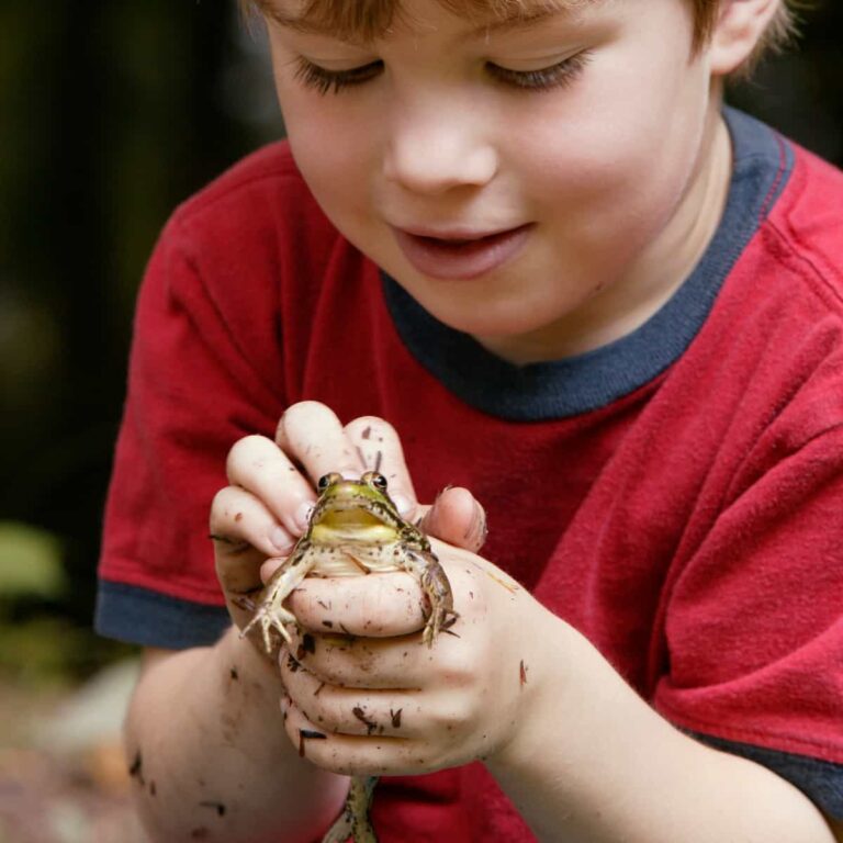 235 Best Frog Names (Common, Cute, and Funny) - Every Little Name