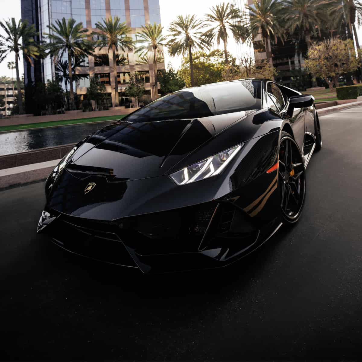 200 Best Black Car Names For Your New Ride Every Little Name