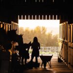130 Horse Farm Names for Your Stable or Ranch - Every Little Name