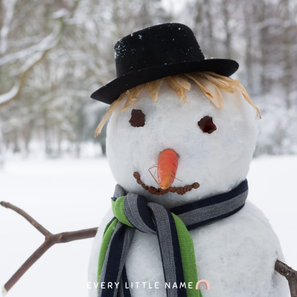 100+ Snowman Names (Classic, Funny, and Clever) - Every Little Name