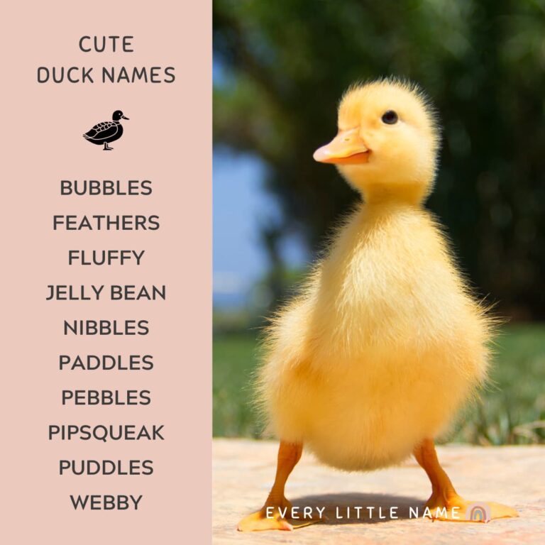 200+ Best Duck Names (Cute, Funny, and Quack-tastic) - Every Little Name