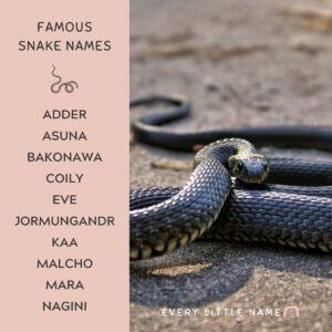 300+ Best Snake Names (Cute, Cool, and Hiss-terical) - Every Little Name