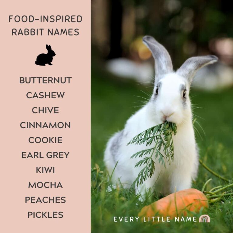 230+ Best Rabbit Names for Your Pet Bunny - Every Little Name