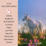 240+ Best Unicorn Names (Magical, Adorable, and Fabulous) - Every ...