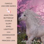 240+ Best Unicorn Names (Magical, Adorable, and Fabulous) - Every ...