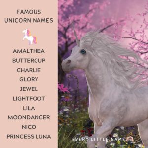 240+ Best Unicorn Names (Magical, Adorable, and Fabulous) - Every ...
