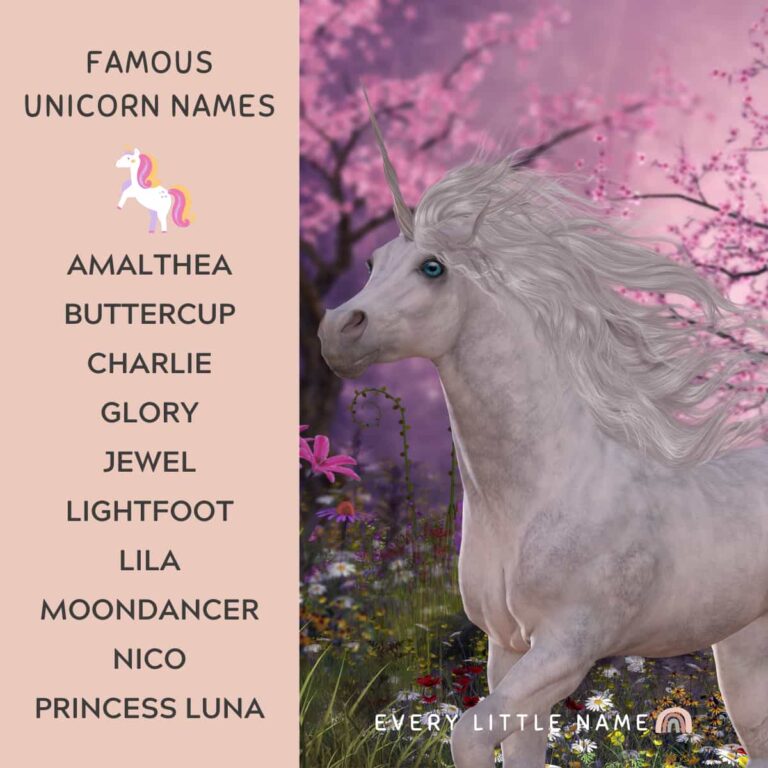 240+ Best Unicorn Names (Magical, Adorable, and Fabulous) - Every ...