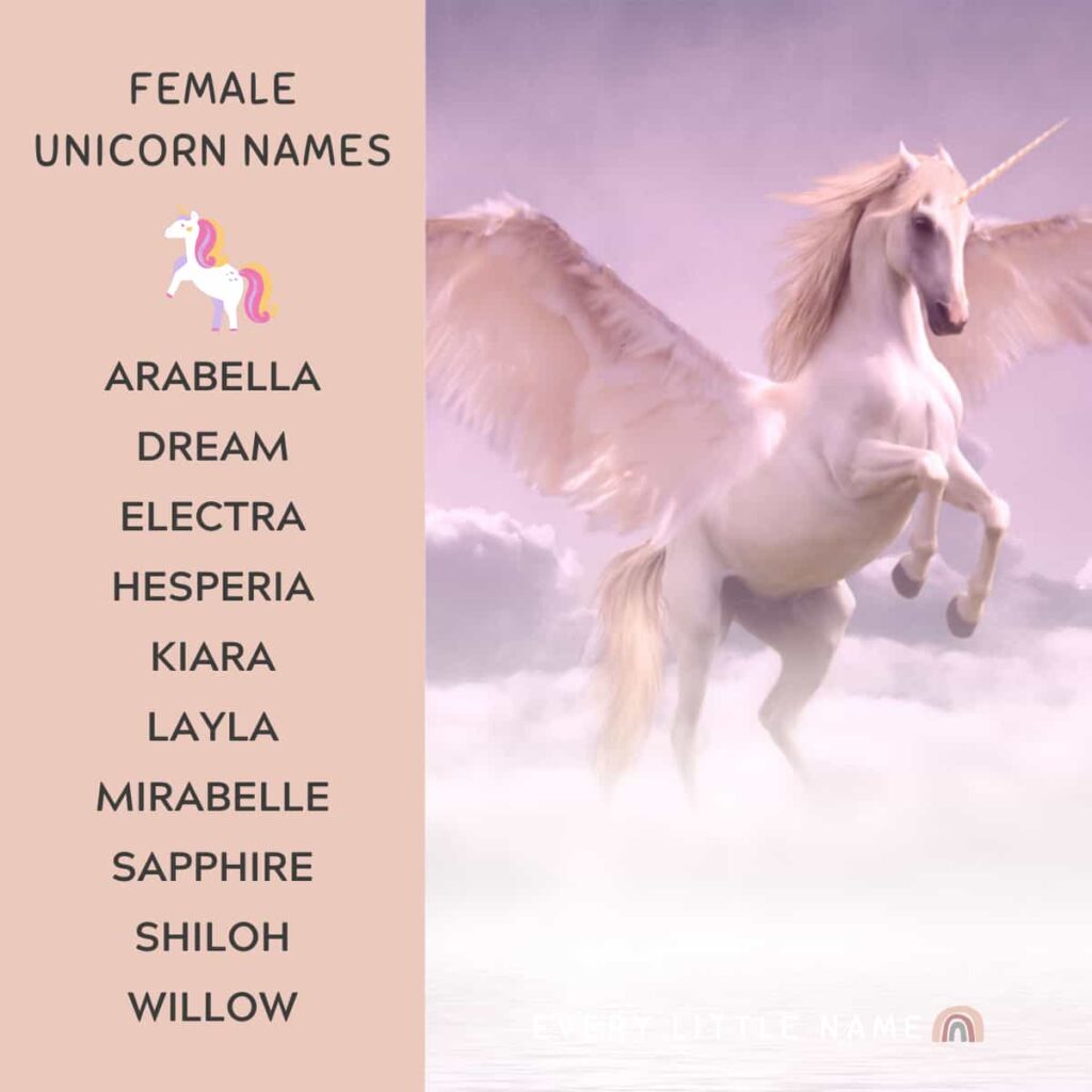 240 Best Unicorn Names Magical Adorable And Fabulous Every