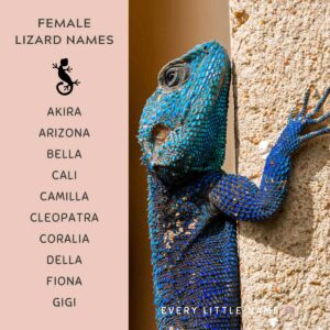 300+ Best Lizard Names (Cute, Funny, and Cool) - Every Little Name