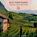 120+ Best Farm Names (Whimsical, Funny, and Catchy) - Every Little Name
