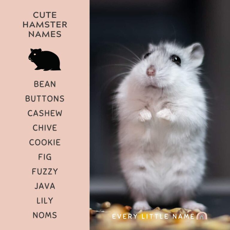 240+ Best Hamster Names (Cute, Funny, and Quirky) - Every Little Name