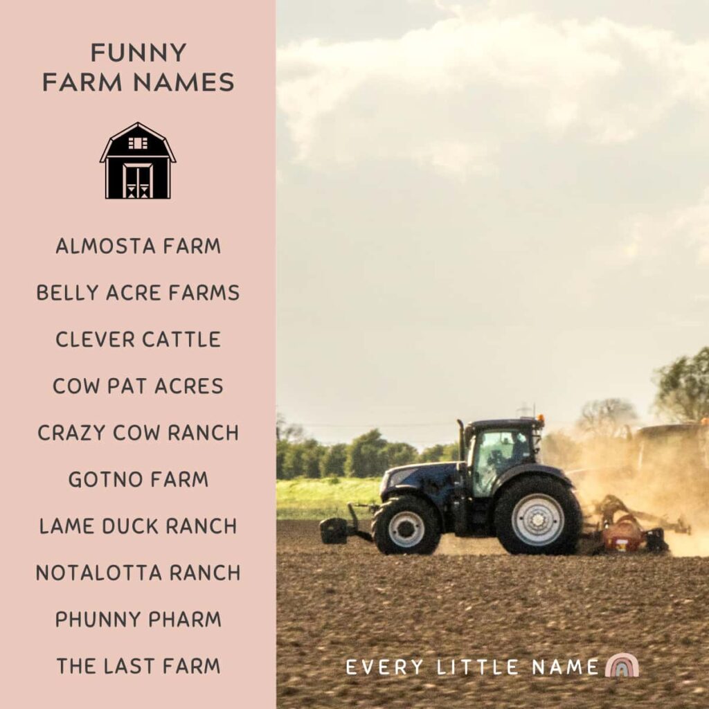 120 Best Farm Names Whimsical Funny And Catchy Every Little Name 120 Best Farm Names Whimsical Funny And Catchy Every Little Name