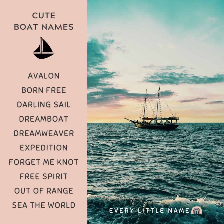 170 Best Boat Names (Cool, Creative, and Classy) - Every Little Name