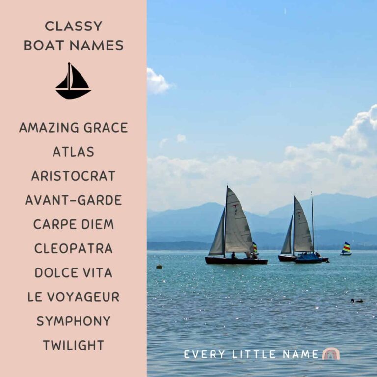 170 Best Boat Names (Cool, Creative, and Classy) - Every Little Name