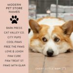 150+ Best Pet Store Names (Cute, Creative, and Purr-fect) - Every ...