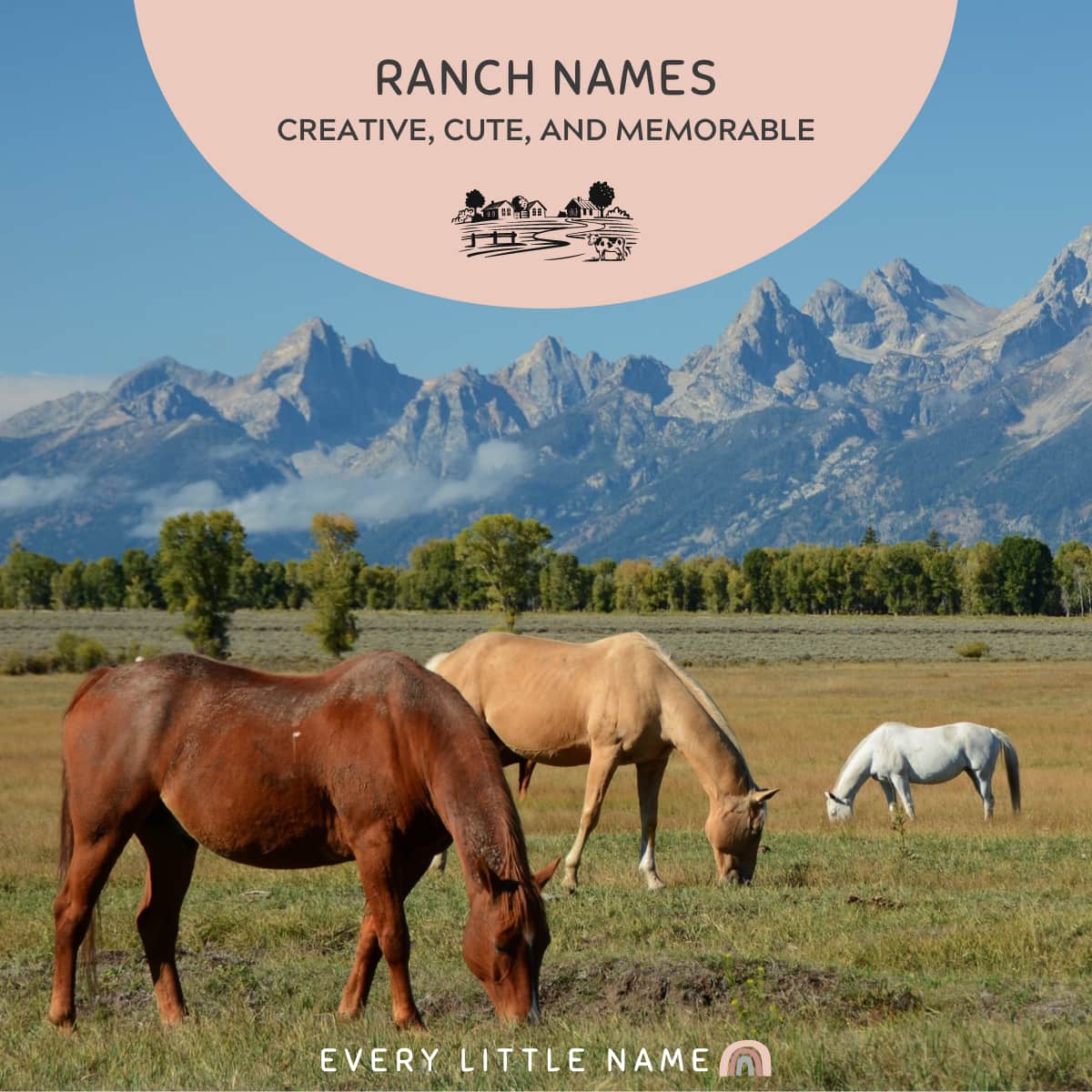 140 Best Ranch Names Creative Cute And Memorable Every Little Name