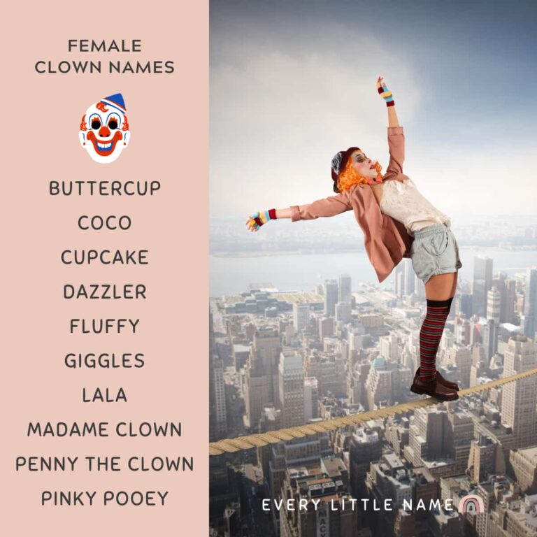 220+ Best Clown Names (Classic, Funny, and Scary) - Every Little Name