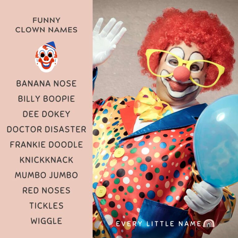 220+ Best Clown Names (Classic, Funny, and Scary) - Every Little Name