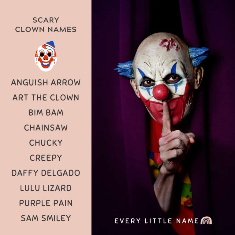 220+ Best Clown Names (Classic, Funny, and Scary) - Every Little Name